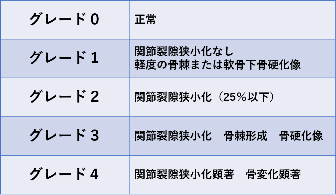 【変形性膝関節症について】—院長のブログ | お茶の水セルクリニック