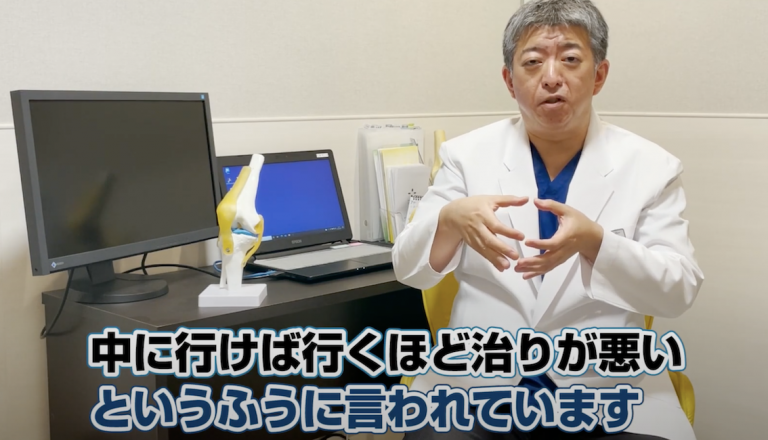 半月板の再生医療について お茶の水セルクリニック